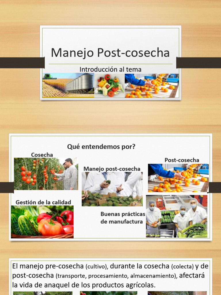 Manejo Postcosecha 1 | PDF