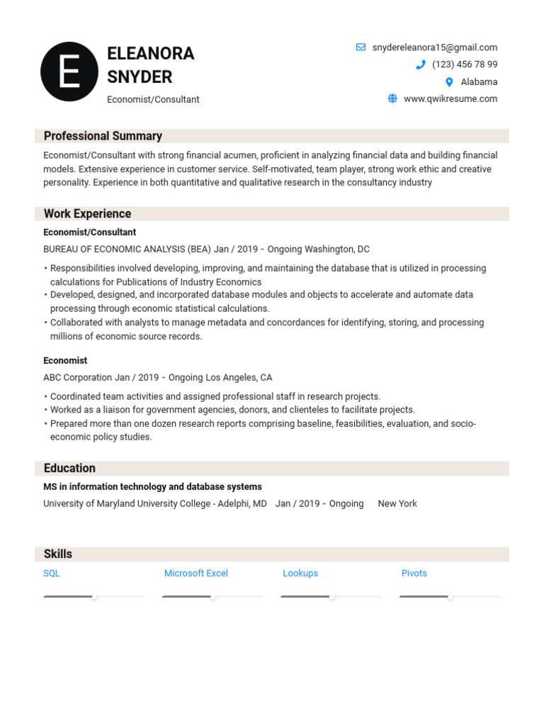 Economist/Consultant Resume Overview | PDF | Business | Finance & Money ...