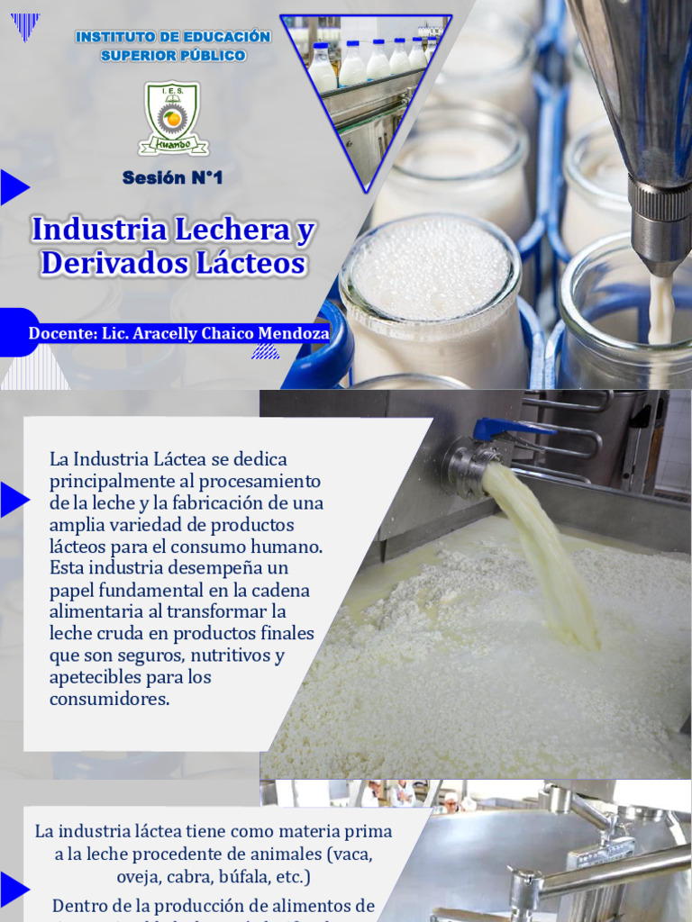 s1 Industria Lechera y Derivados Lácteos | PDF | Leche | Productos lácteos