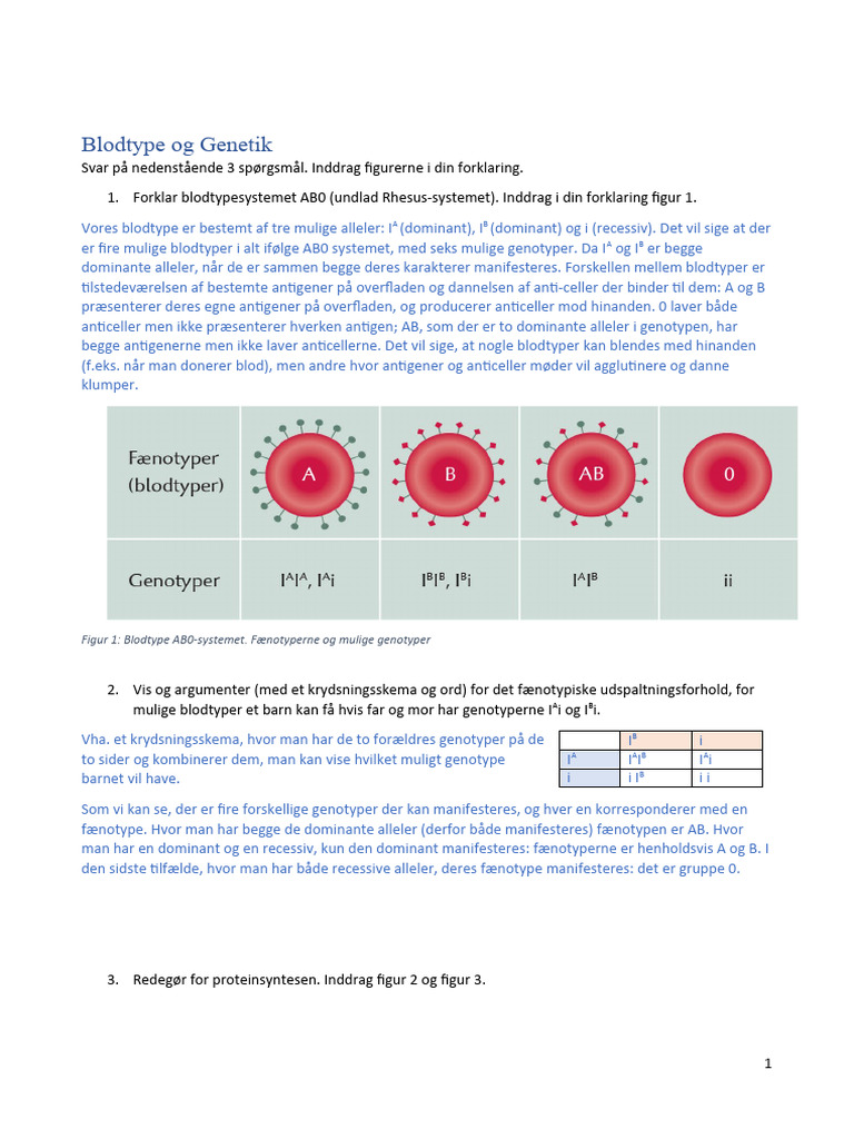 Afl. Blodtype Og Genetik-Teodor | PDF