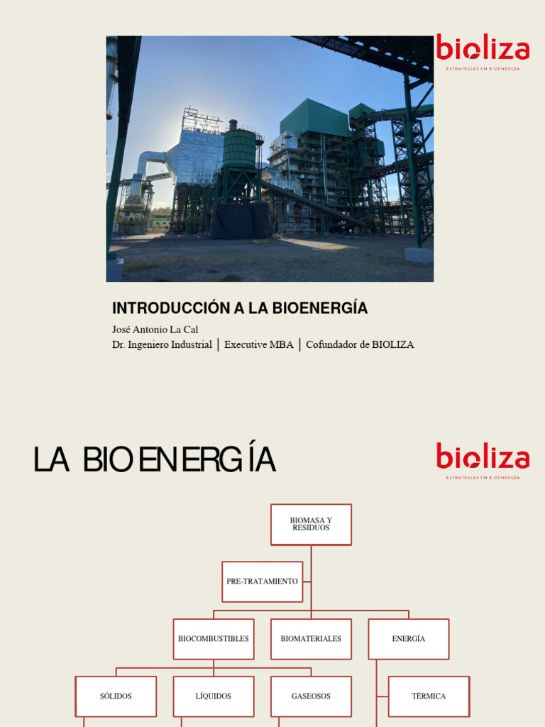 Introducción A La Bioenergía | PDF | Biomasa | Recursos energéticos