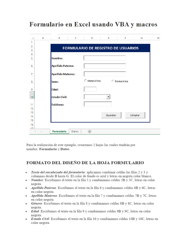 Formato Macro | PDF | Informática | Software