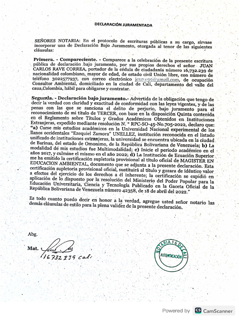 Declaración Juramentada | PDF