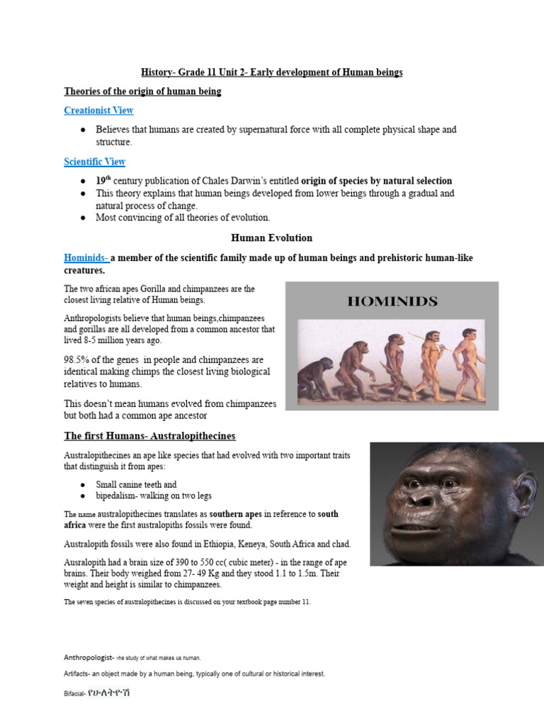 Grade 11 Unit 2 Final | PDF | Homo | Stone Age