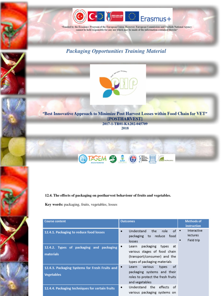 E-Learning O4 en Packaging | PDF | Materials