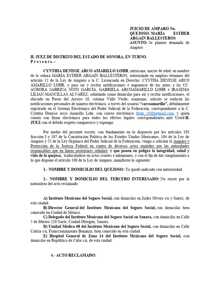 Amparo Esther Argain | PDF | Cuidado de la salud | Trabajo Social