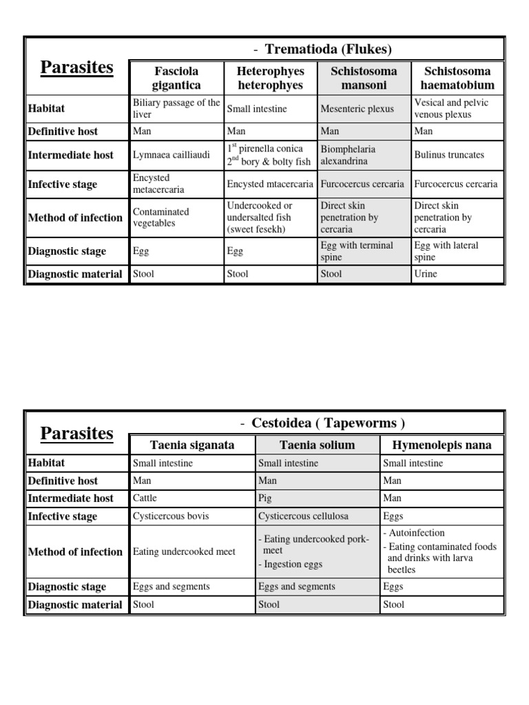 Parasites | PDF | Parasitism | Medical Specialties