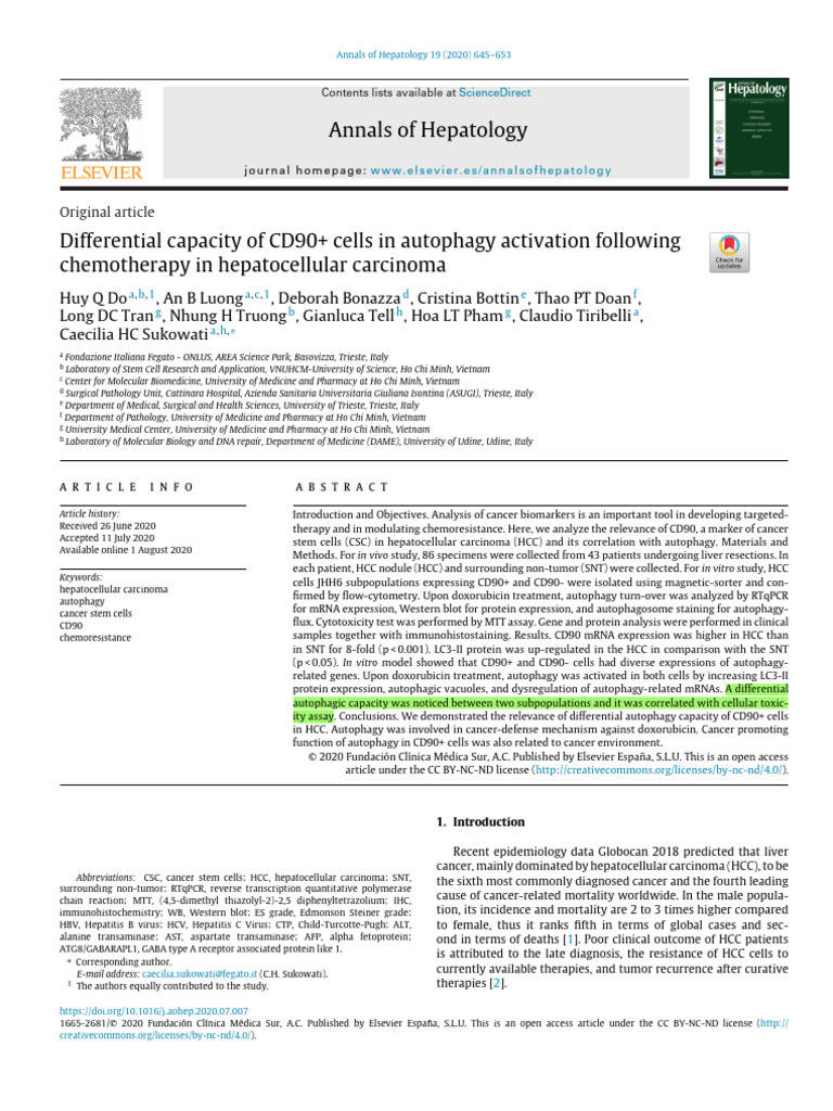 Differential Capacity of CD90+ Cells in Autophagy Activation Following ...