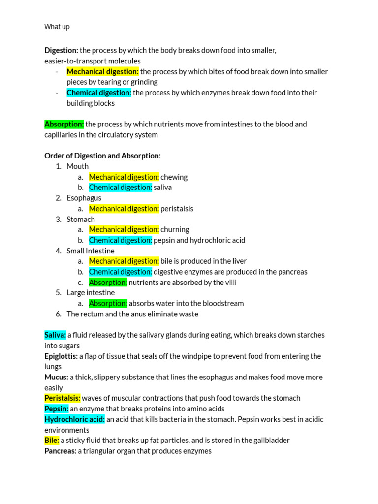 Body Systems Study Resources | PDF | Digestion | Human Body