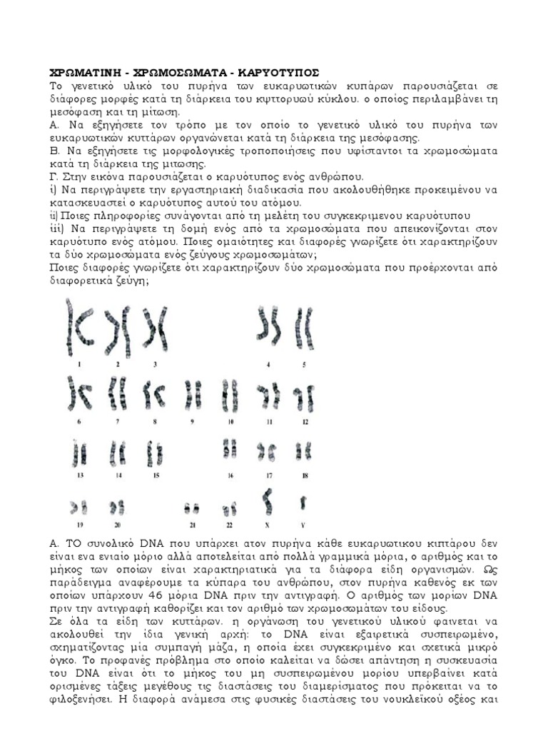 ΧΡΩΜΑΤΙΝΗ-ΧΡΩΜΟΣΩΜΑΤΑ-ΚΑΡΥΟΤΥΠΟΣ | PDF