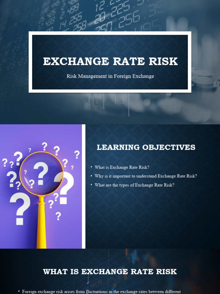 Exchange Rate Risk | PDF | Financial Risk | Exchange Rate
