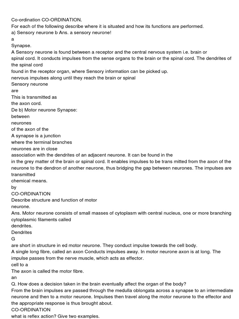 Coordination(word) | PDF | Neuron | Motor Neuron