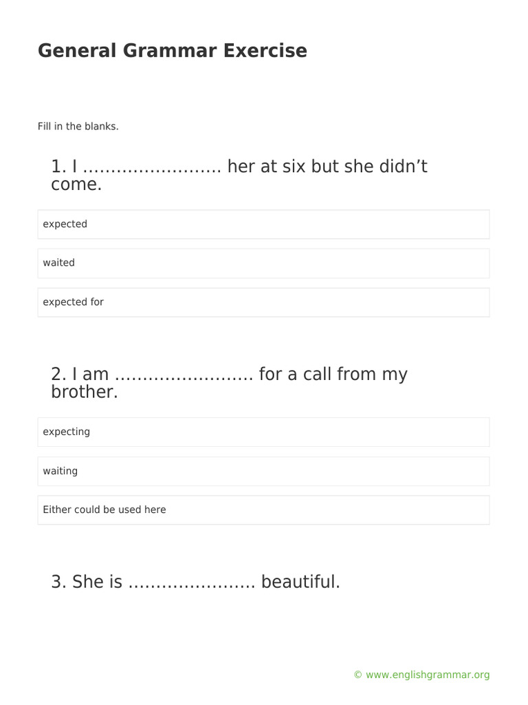 General Grammar Exercise | PDF