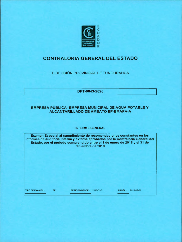 DPT 0043 2020 | PDF | Auditoría | Business