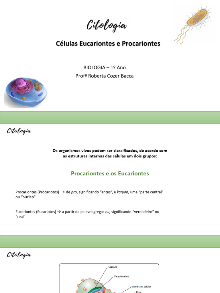 Célula euca e proca | PDF | Célula (Biologia) | Eucariotas