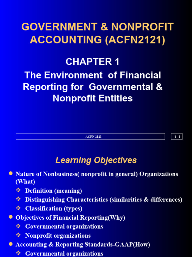 Pupic | PDF | Fund Accounting | Business