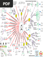 Tajwid Diagram PDF | PDF