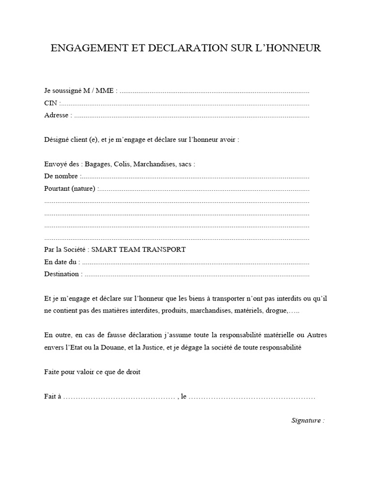 Modèle d'engagement client | PDF