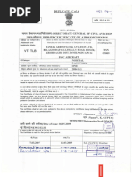 YVR RAIC Application Form Guide | PDF | Government