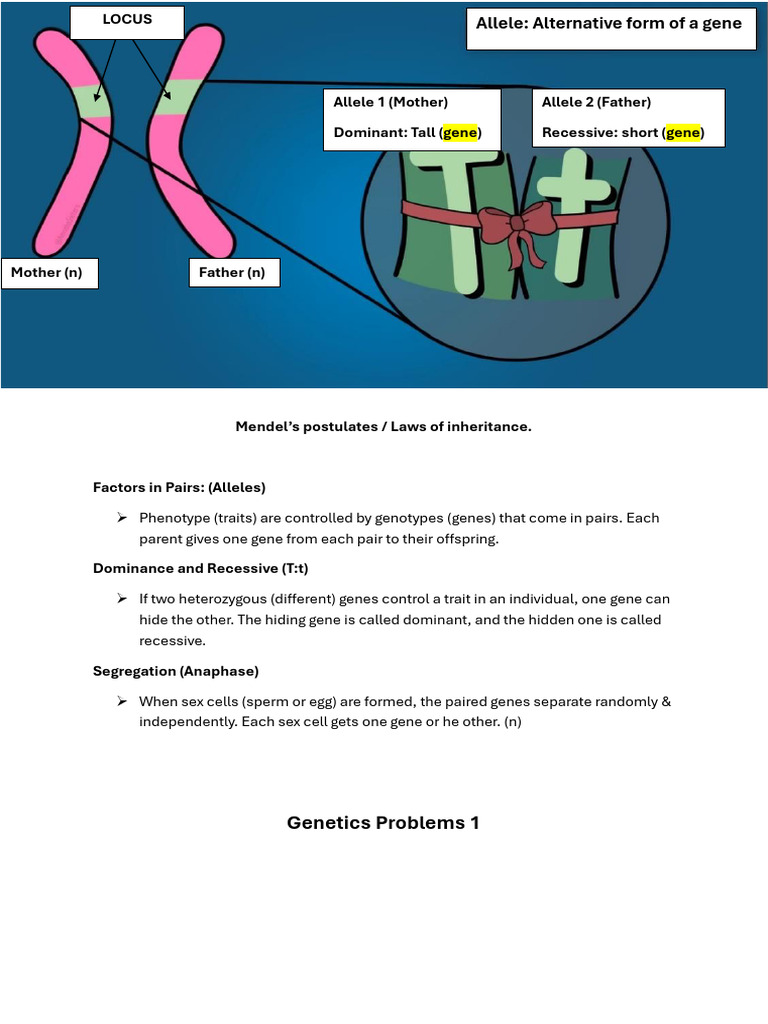 Genetics Umalusi | PDF | Dominance (Genetics) | Genotype