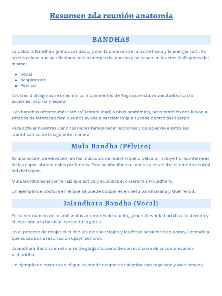 Anatomía 2 | PDF | Abdomen | Respiración