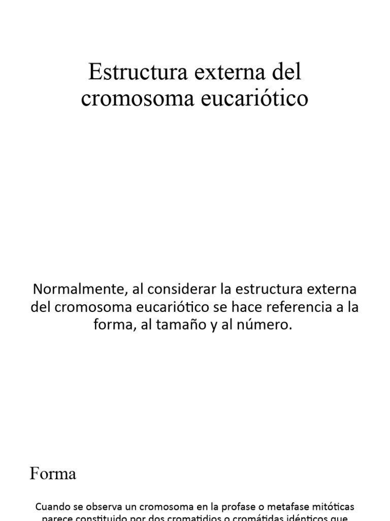 Estructura y clasificación de cromosomas eucarióticos | PDF | Cromosoma ...