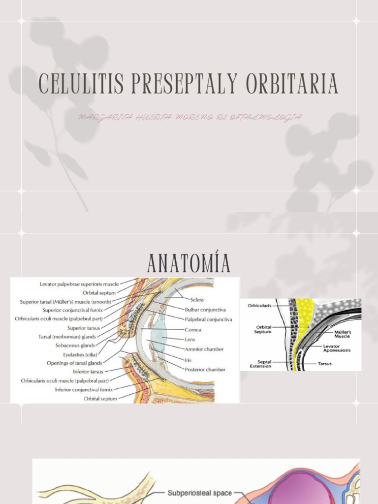 celulitis preseptaly orbitaria (4) | PDF | Ojo humano | Inmunología