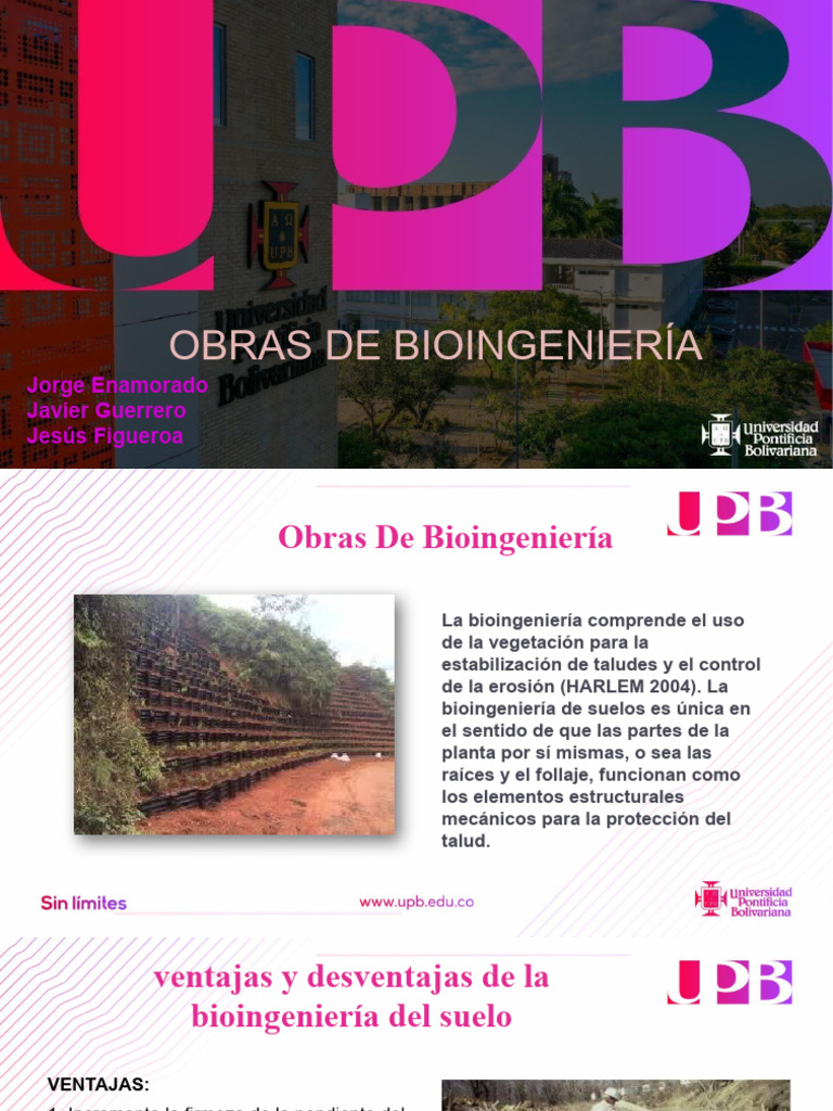 Obras de Bioingeniería | PDF | Suelo | Erosión