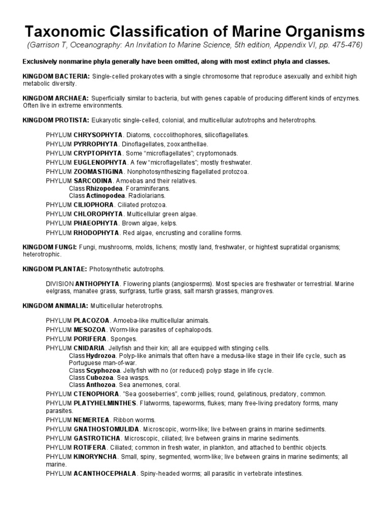 Classification of Marine Organisms | PDF | Invertebrate | Organisms