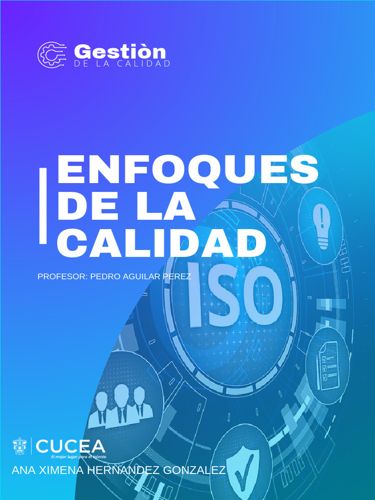 ENFOQUES DE CALIDAD | PDF
