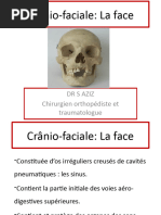 Anatomie des Os du Visage Humain | PDF | Anatomie humaine | Appareil ...