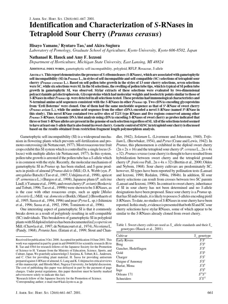 Sour Cherry S-RNase Study | PDF | Polymerase Chain Reaction ...