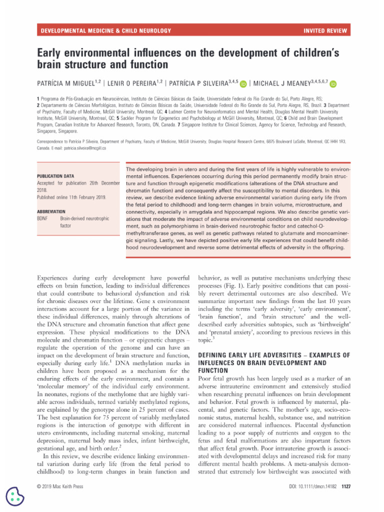 Early Environmental Influences On The Development of Children's Brain ...