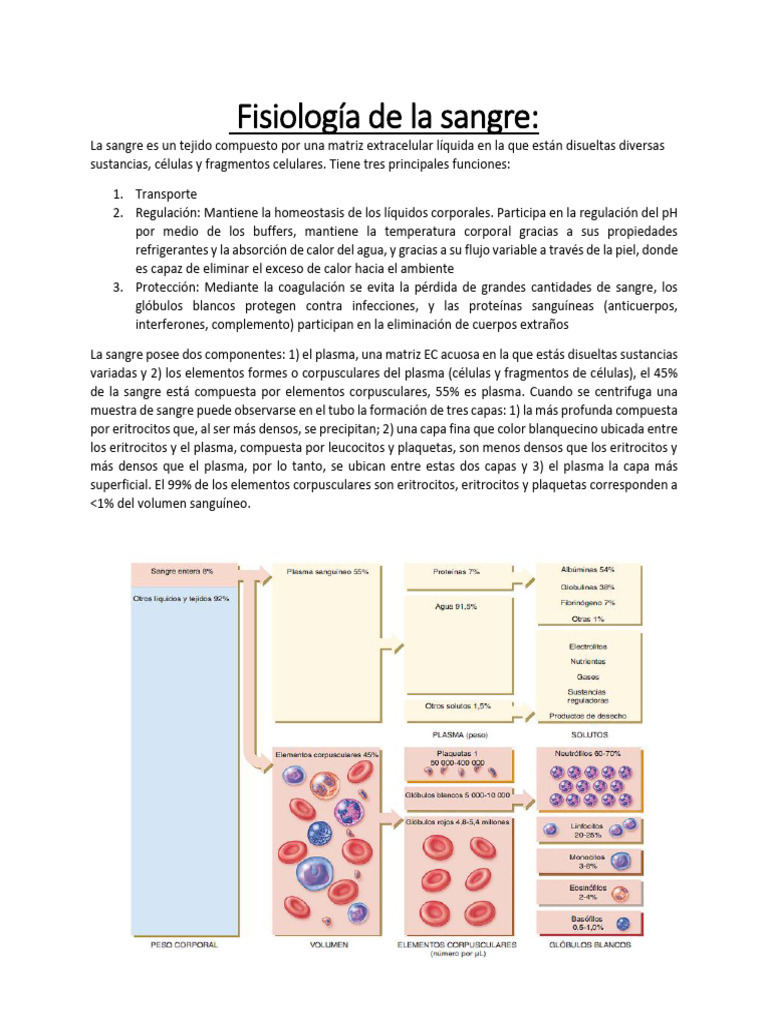 Fisiología de La Sangre | Descargar gratis PDF | Sangre | Especialidades Medicas