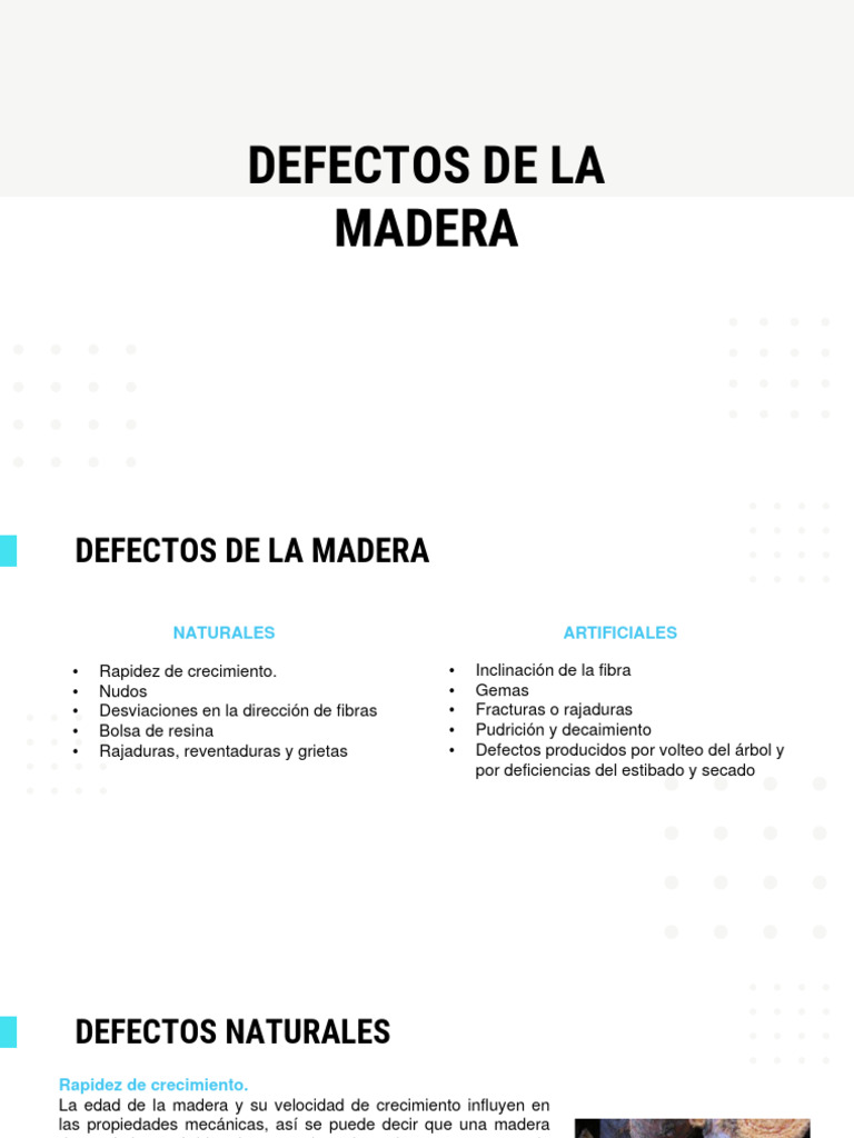 Defectos y Durabilidad de la Madera | PDF | Madera | Agua