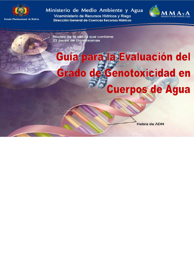 Genotoxicidad en Agua | PDF | Genética | Biología