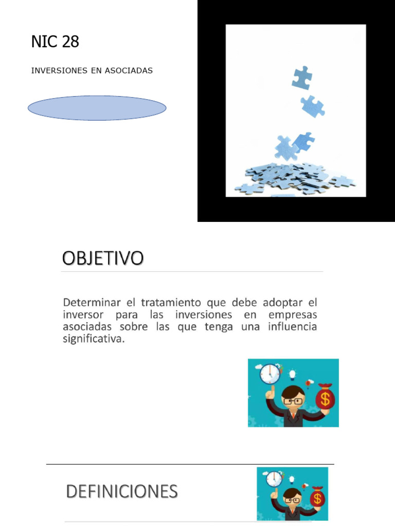 Nic 28 | PDF | Inversiones | Contabilidad