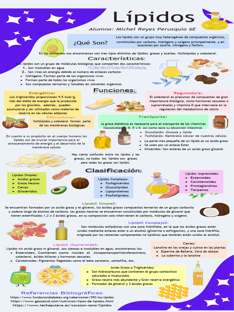 Infografia Lipidos | Descargar gratis PDF | Lípido | Triglicéridos