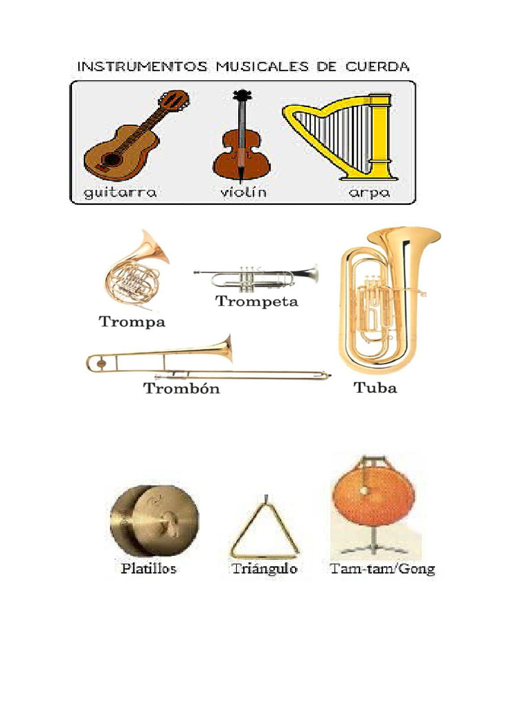 Instrumentos Musicales de Cuerda, de Viento y Percusion | PDF