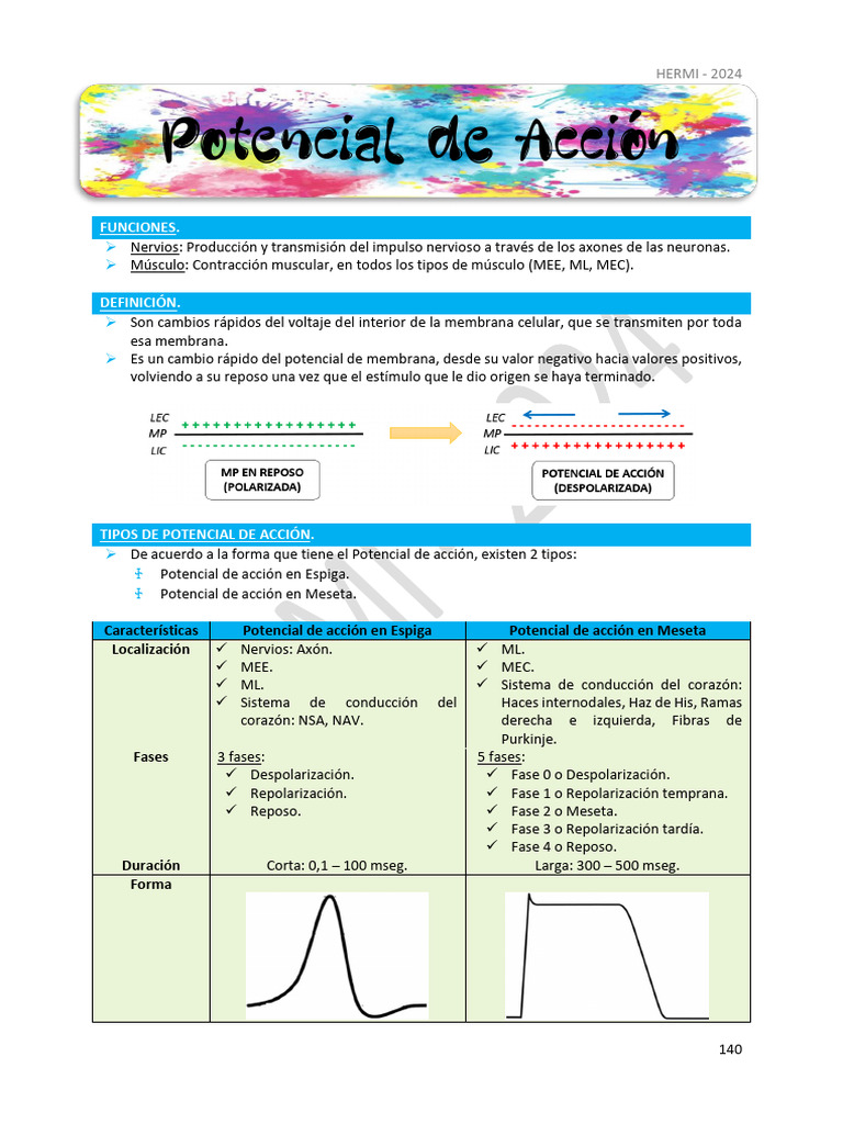 Tipos y Fases del Potencial de Acción | PDF | Potencial de acción | Axon
