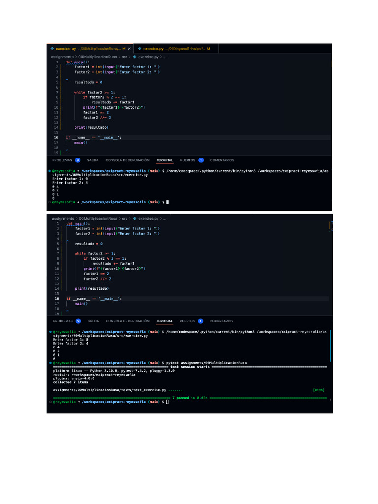 Examen Integrador - Parte Práctica - Sofia Reyes Meza | PDF
