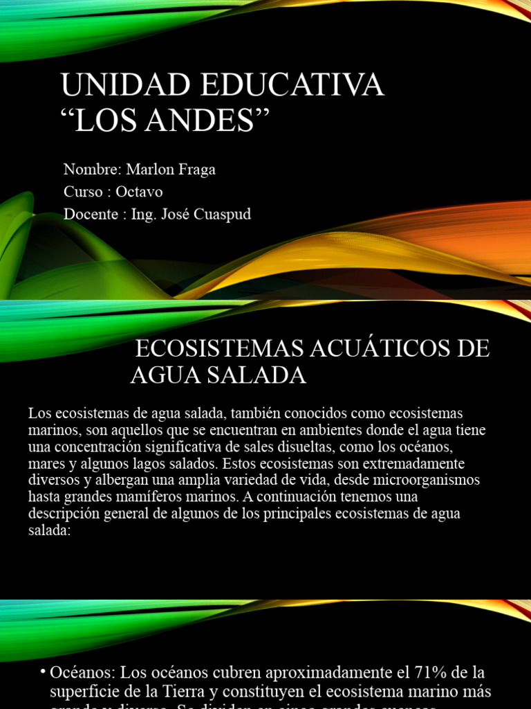 Unidad EDUCATIVA Los Andes XD MF | PDF | Mangle | Océanos
