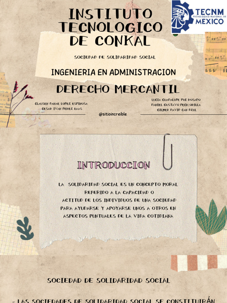 Sociedad de Solidaridad Social: Guía Completa | PDF | Sociedad | Solidaridad