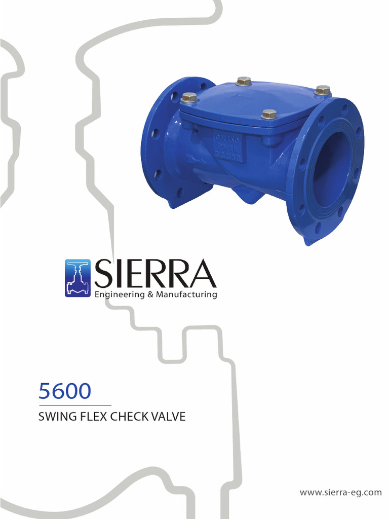 5600 Swing Flex Check Valve | PDF | Valve | Flow Measurement