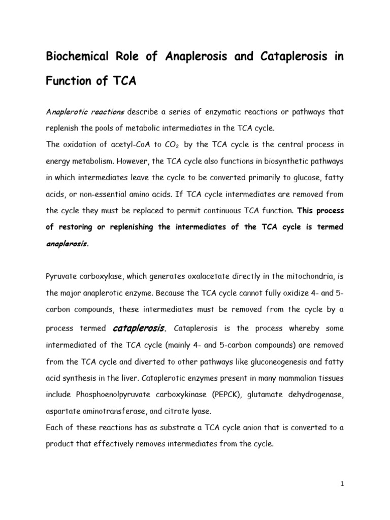 Anaplerotic And Cataplerotic Reactions Of The Tca Cycle Pdf Diet And Nutrition Chemistry
