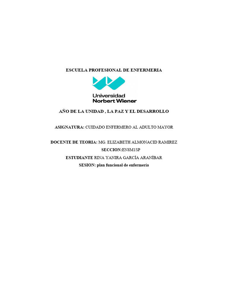 Plan Funcional Ulceras Por Presion | PDF | Enfermería | Medicina CLINICA