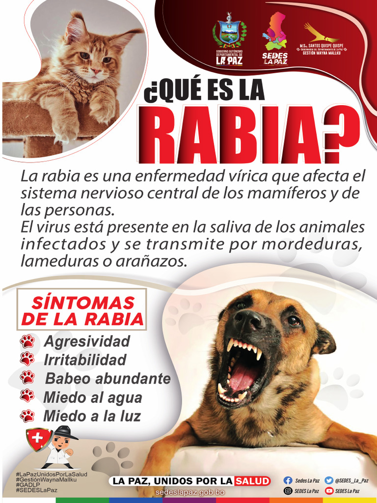 Afiche - Que Es La Rabia | PDF