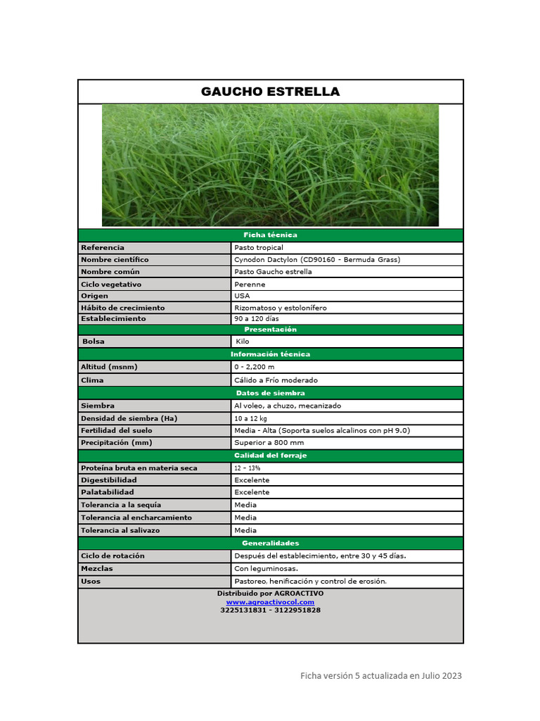 ficha-tecnica-gaucho-estrella | PDF