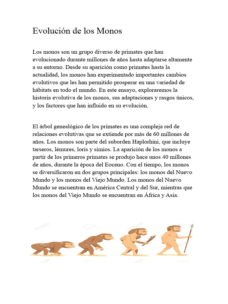 Evolución y Diversificación de Monos | PDF