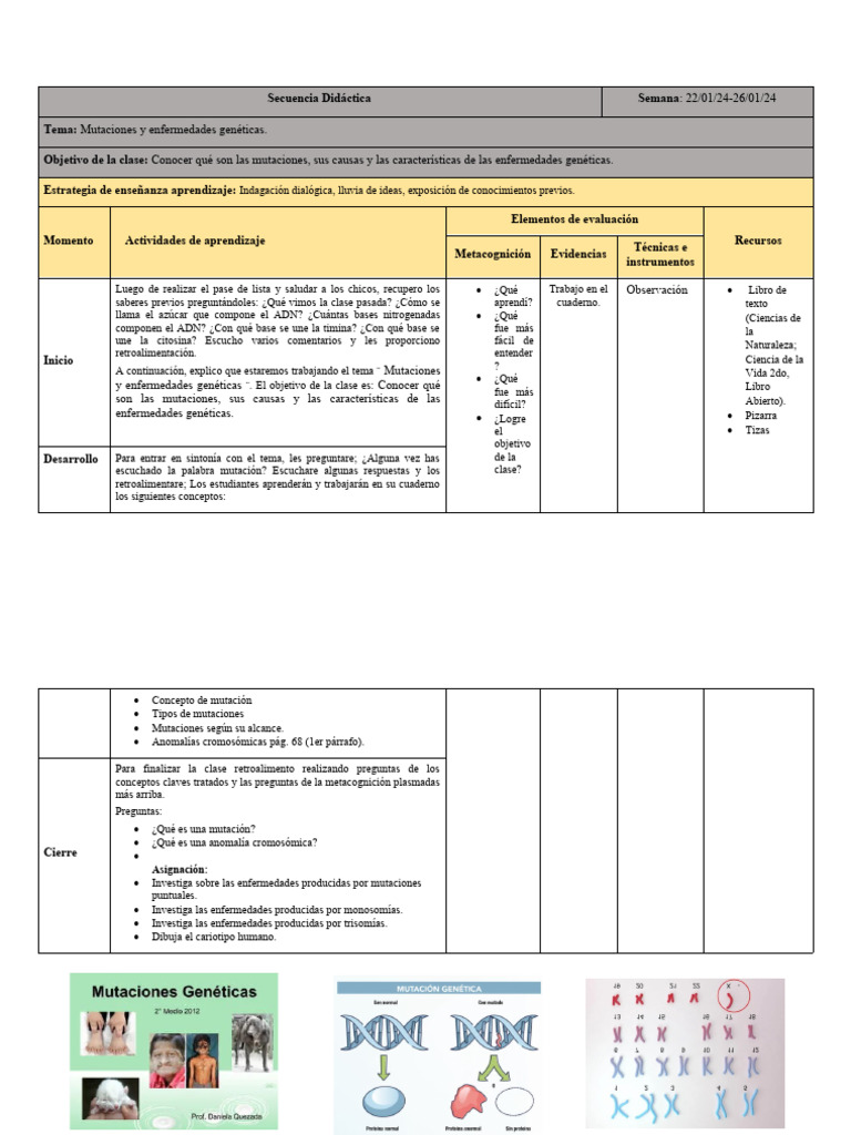 Secuencia Didáctica semana 22-26 ene | PDF | Mutación | Adn
